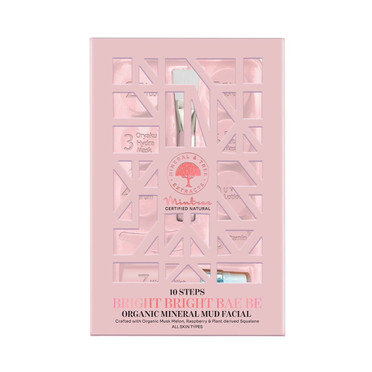 FACIAL KIT MINERAL MUD – Mintree